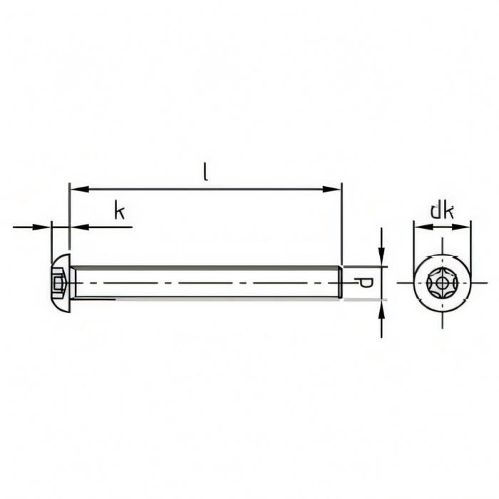 Metrische Sicherheitsschraube Pin-Torx - M6 - Flachrundkopf - Resis-T ...